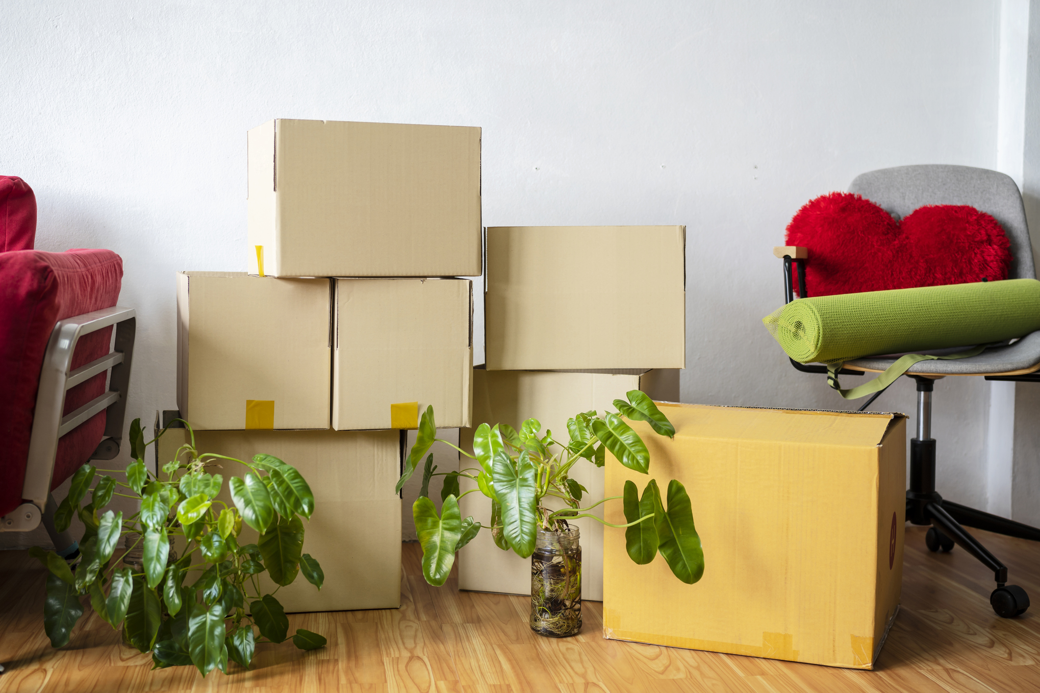 From Homeowner to Tenant - Tips for Making a Smooth Transition | the ...